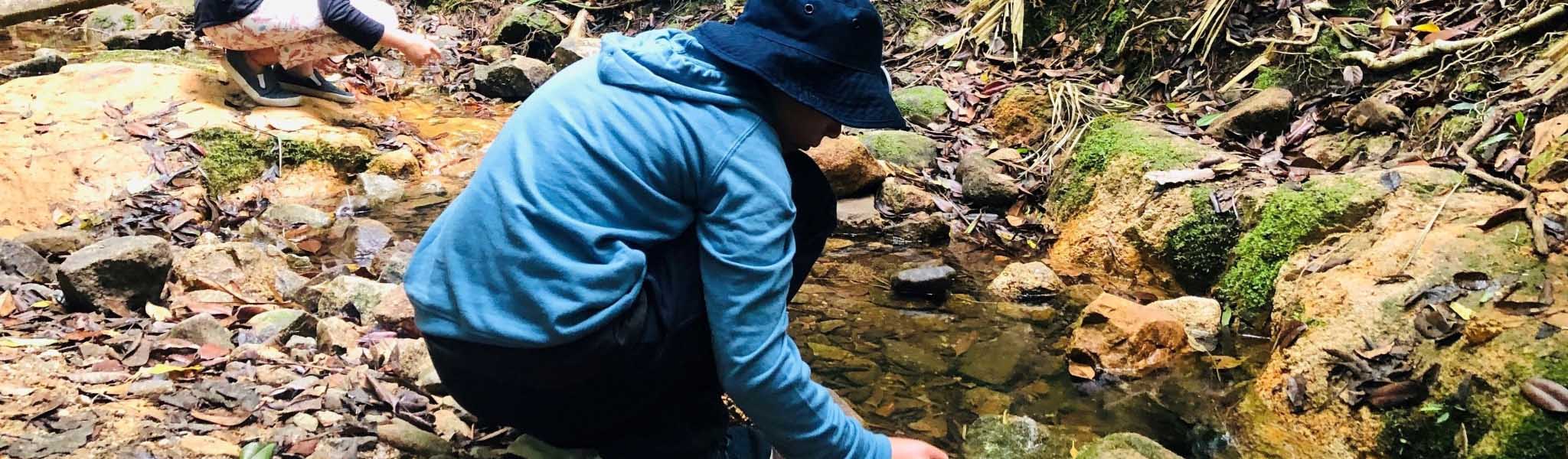 Hamilton Island State School