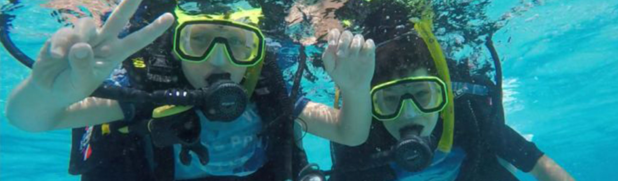 Hamilton Island State School